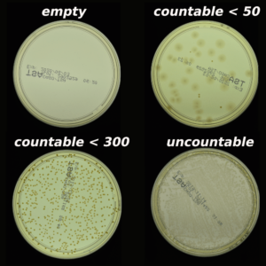 AGAR - Annotated Germs for Automated Recognition