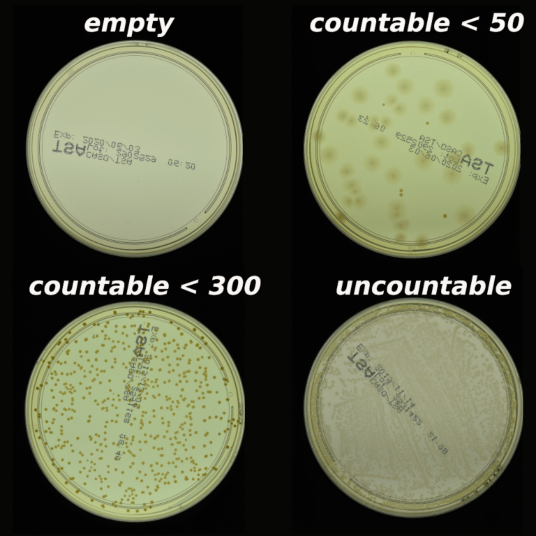 AGAR - Annotated Germs for Automated Recognition